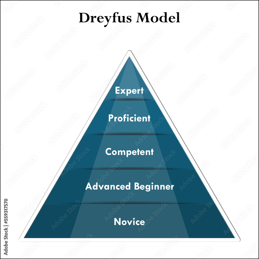 Dreyfus Model in a Pyramid Infographic template Stock Vector | Adobe Stock