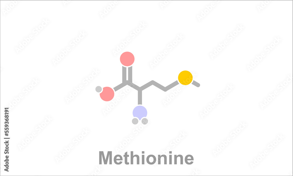 Photo & Art Print Simplified formula icon of the amino acid methionine ...