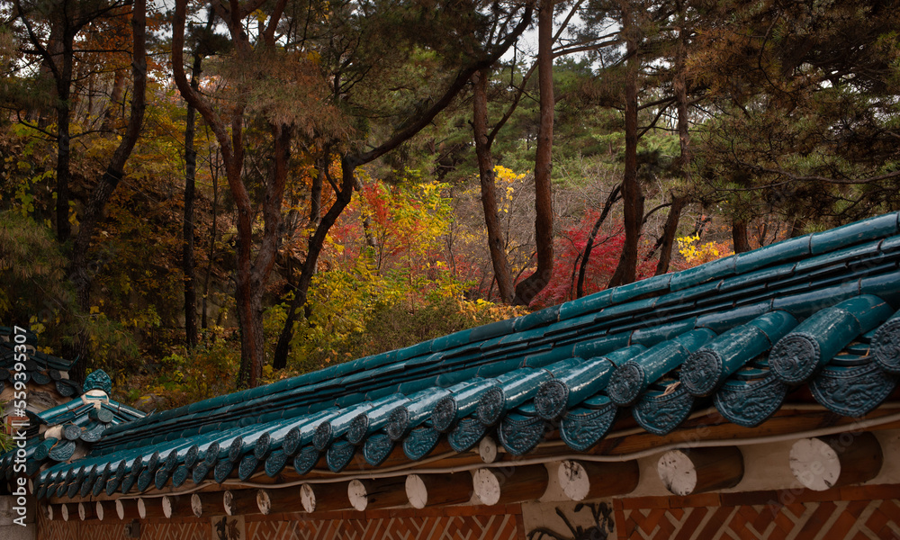 Korean tiles at the Blue House in Seoul Stock Photo | Adobe Stock