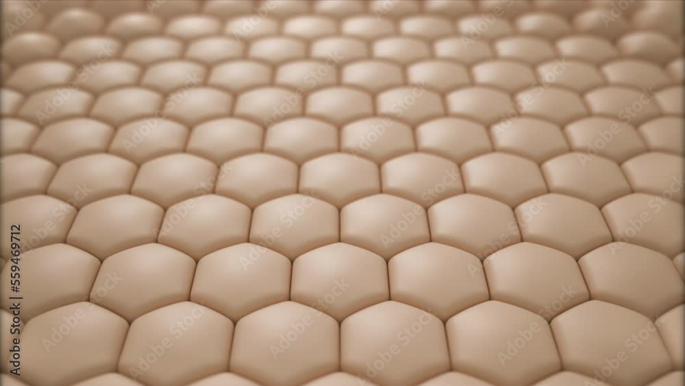 Restoration of the skin structure. Rejuvenation. Animation serum ...