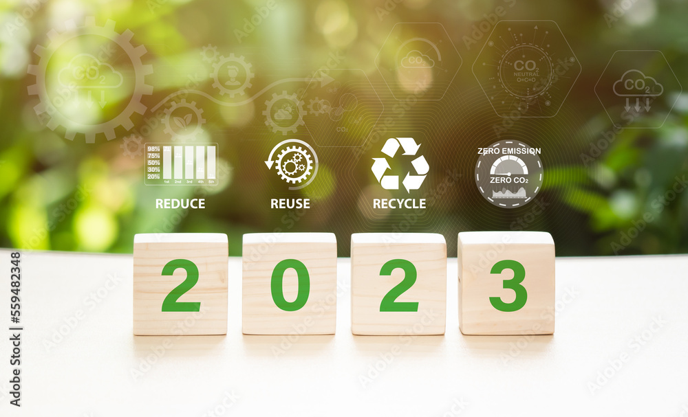 The concept of a carbon footprint and the reduction of carbon emissions ...