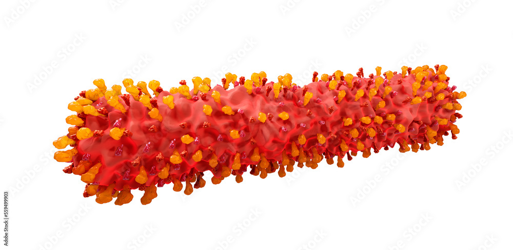 Respiratory syncytial virus (RSV), filamentous shape, with its envelope ...