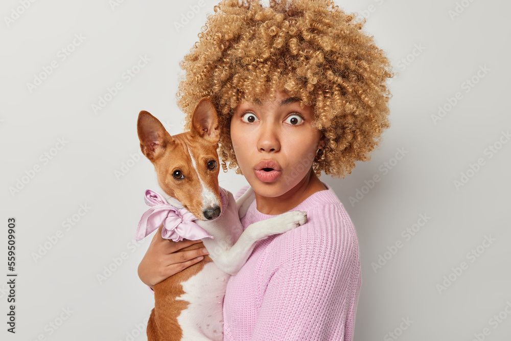 Portrait of shocked stunned woman poses with basenji dog on hands ...