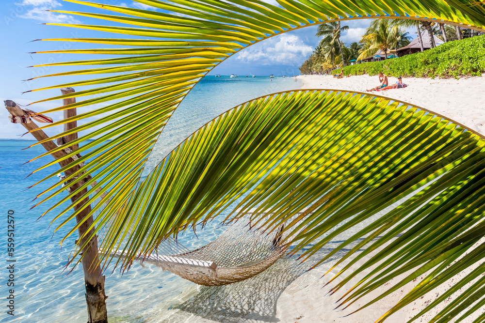 Palme sur plage paradisiaque du morne, île Maurice Stock Photo | Adobe ...