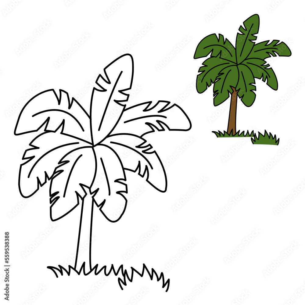 Sketch of a tropical palm tree with green leaves for a kid's coloring ...