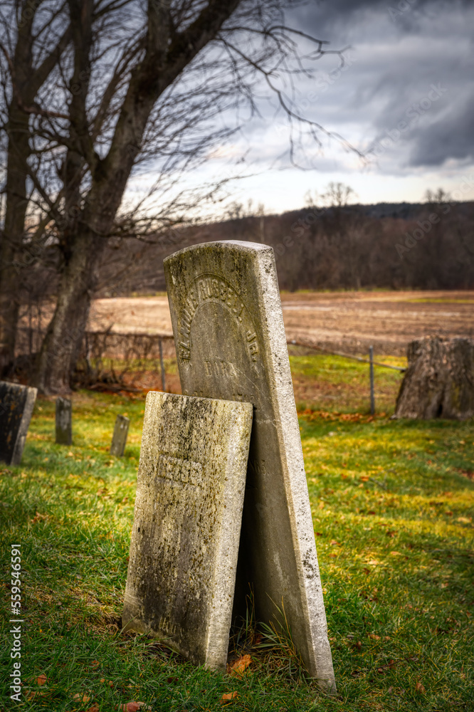 Lyons Farm Cemetery in Windsor, NY. It is also called Stow Cemetery and ...