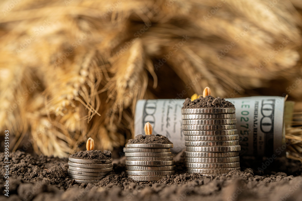 Growing money in the soil with green leaves and trees, with "Inflation ...