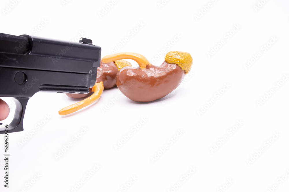 Gunshot wound to the kidneys concept photo. A hand with a gun aims at ...