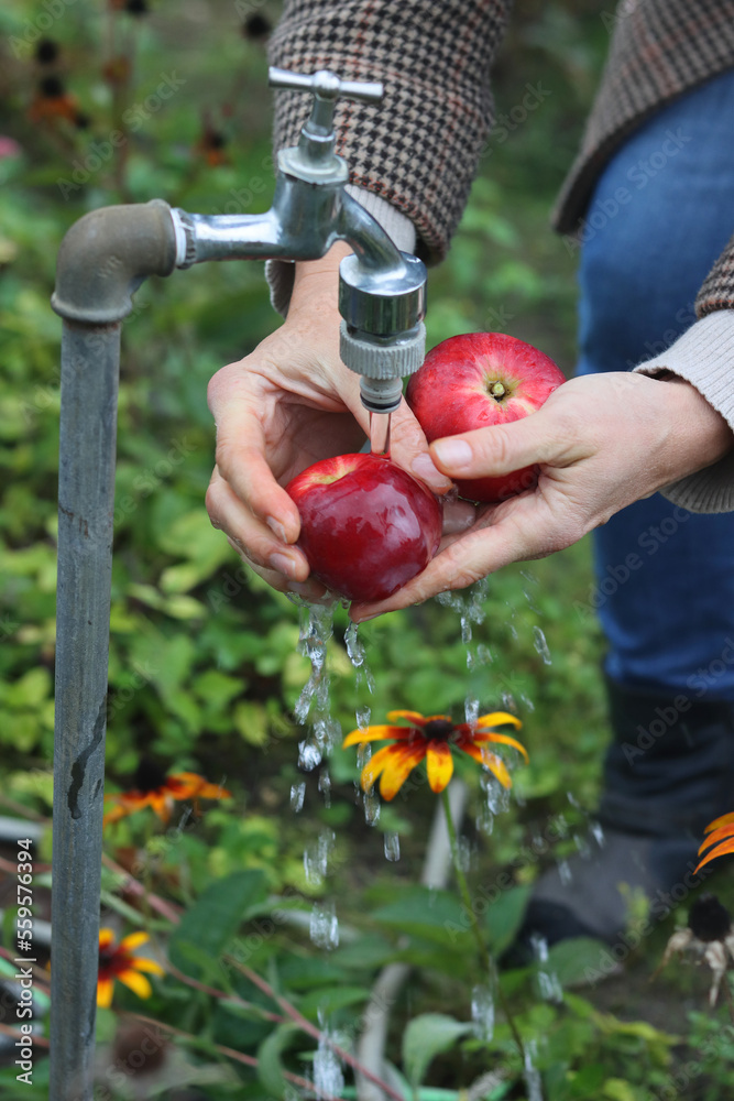 Female hands washing two red apples under the water jet flowing from ...