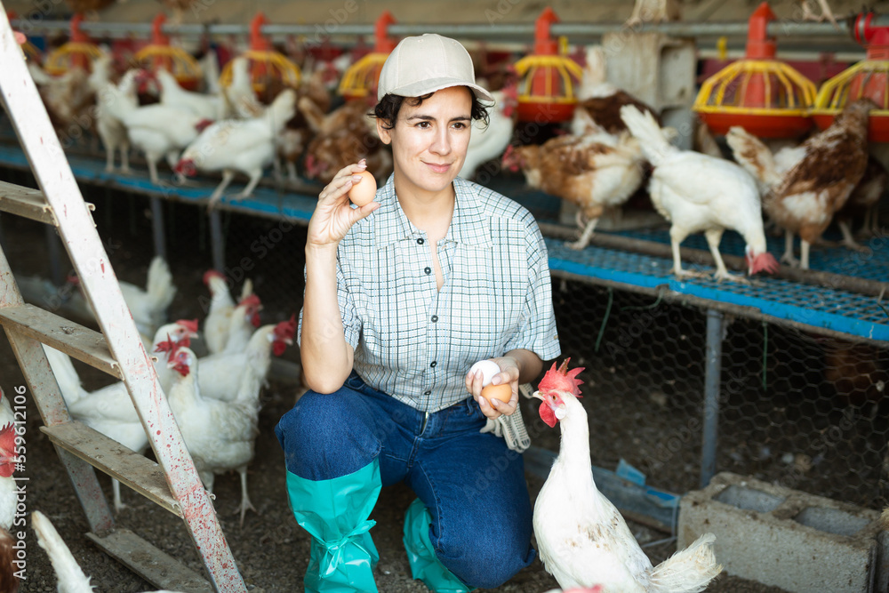 Successful young hispanic woman farmer working breeding laying hens ...