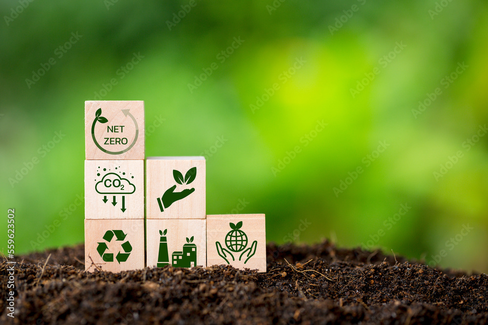 Net zero greenhouse gas emissions reduction with carbon credit concept ...