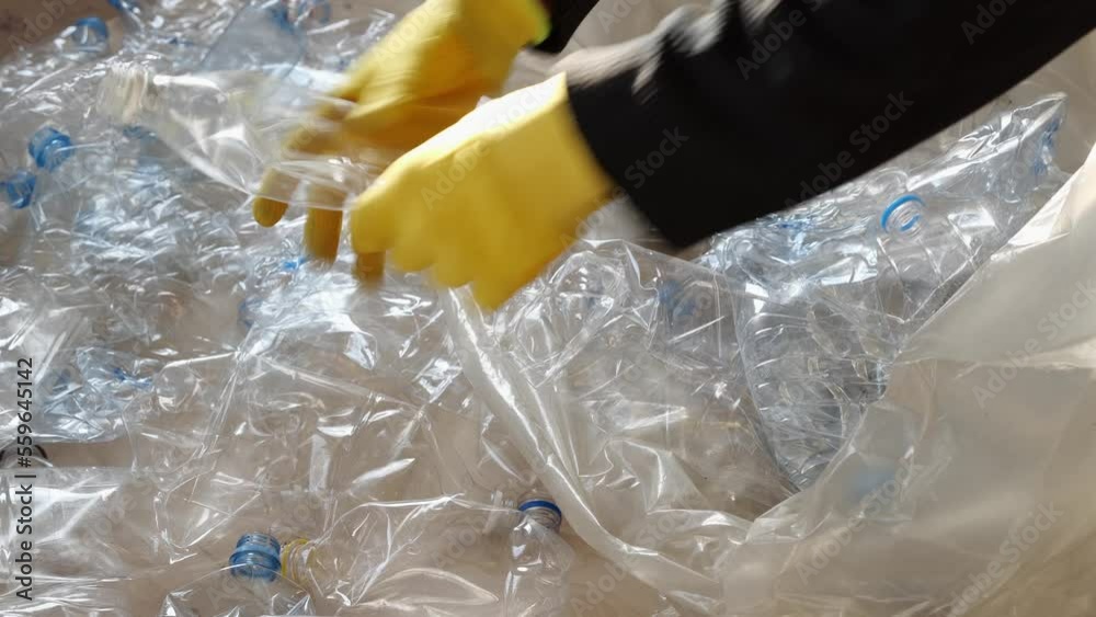 Clear plastic bottles, Collection and manual sorting for recycling ...