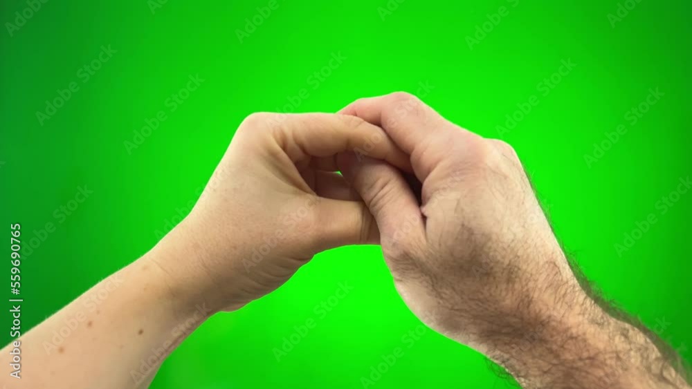 green background chromakey two hands meet female hand plays a bird male ...