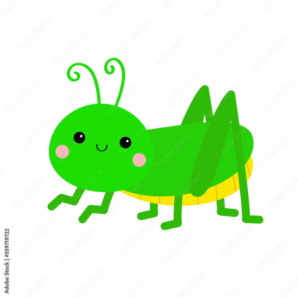 Grasshopper cricket locust icon. Cute cartoon kawaii baby character ...