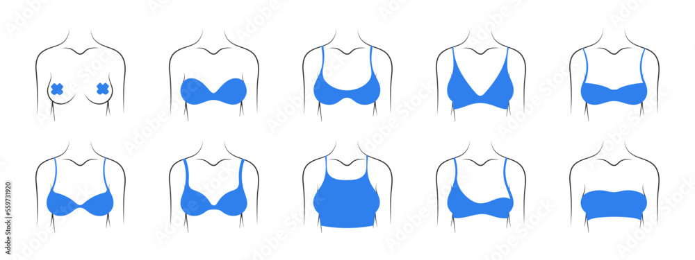 Types of bras. Underwear images. Collection of different types of bras ...