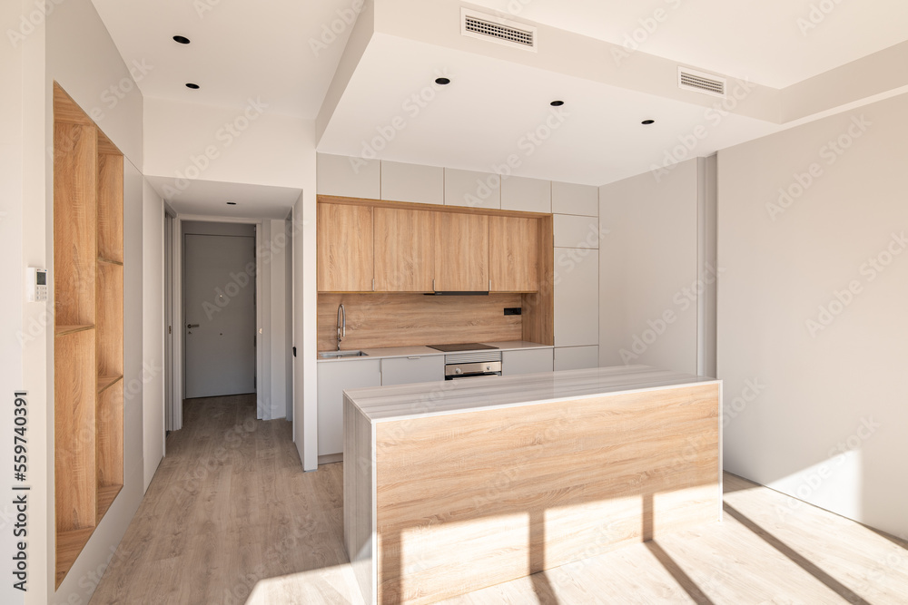 Light modular kitchen with cupboard design interior, made in white and ...