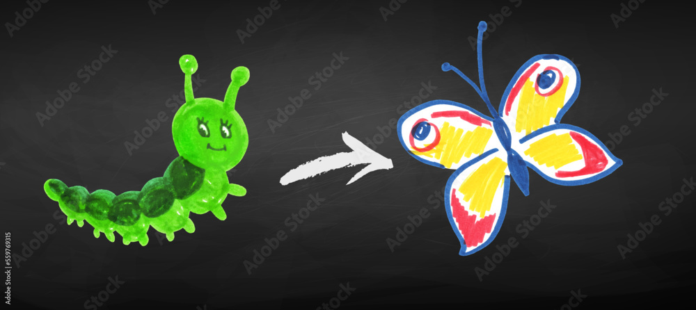 Childlike drawing of caterpillar to butterfly infographic isolated on ...