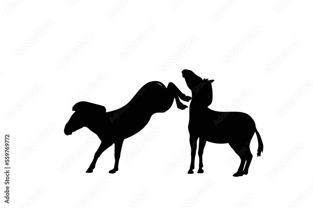 Silhouette graphic of two zebras fighting isolated on white background, vector illustration ...