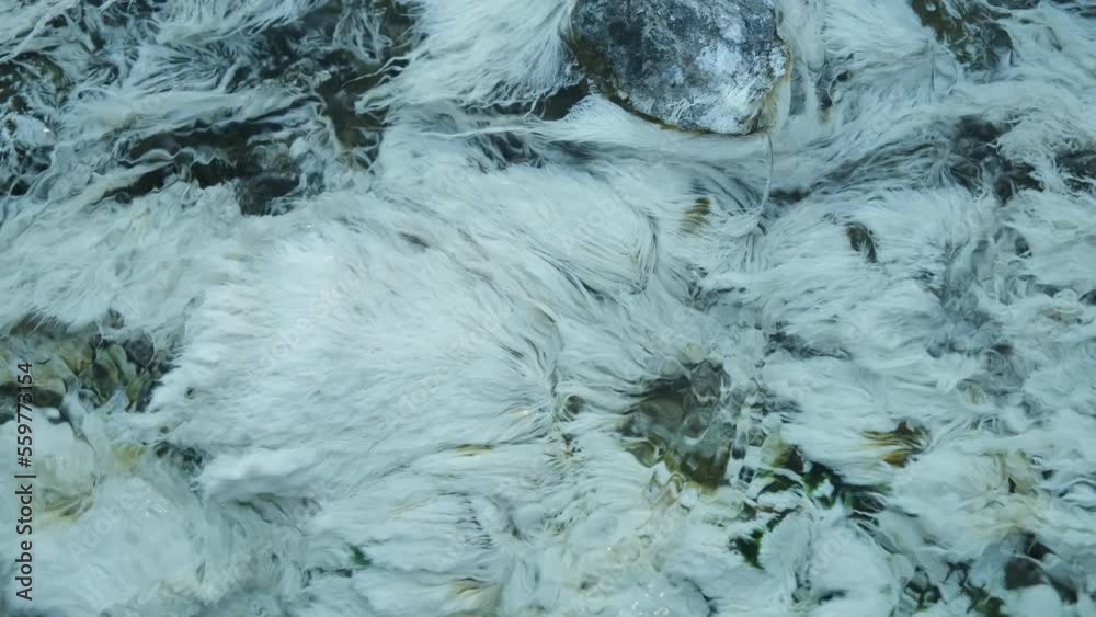 Chloroflexus aurantiacus is a photosynthetic bacterium isolated on hot ...