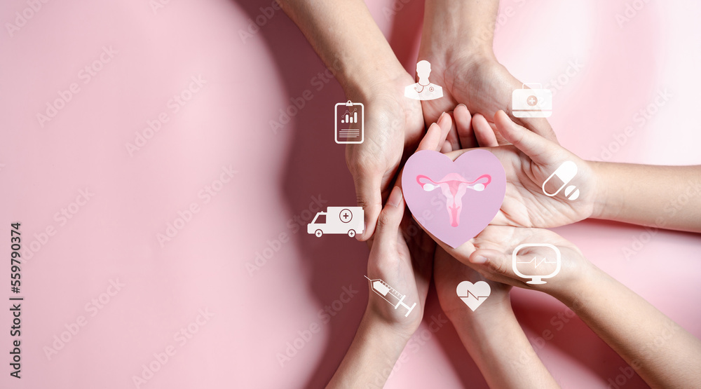 Hands holding uterus in heart shape, female reproductive system, women ...