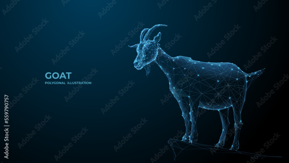 Goat. Digital polygon vector. Isolated line illustration of ibex ...