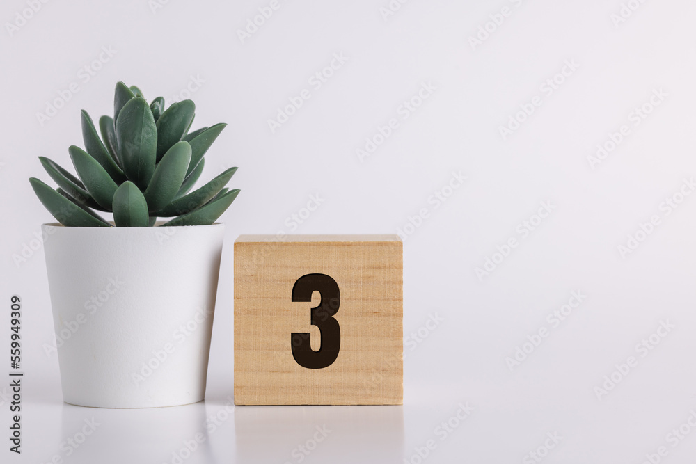 Number 3 on wooden pine block on white background next to a succulent ...