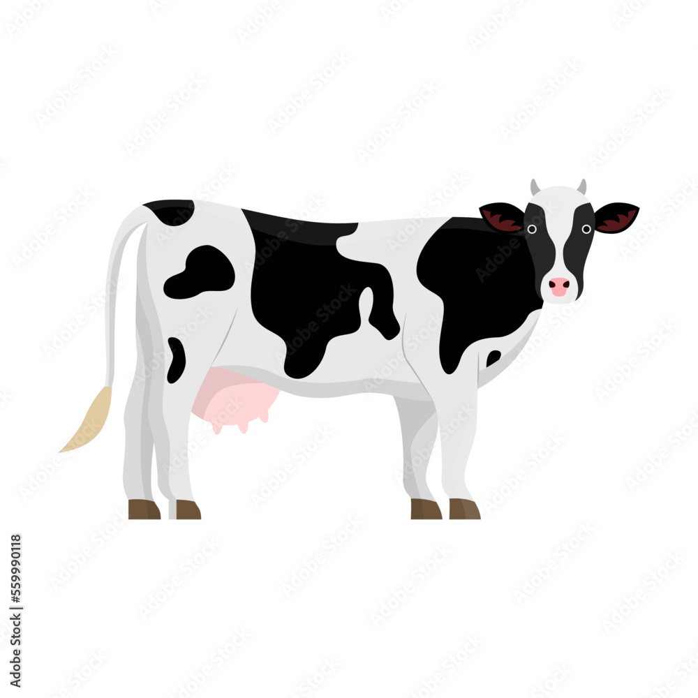 Cow breed vector illustration. Cartoon drawing of Jersey or Frisian ...