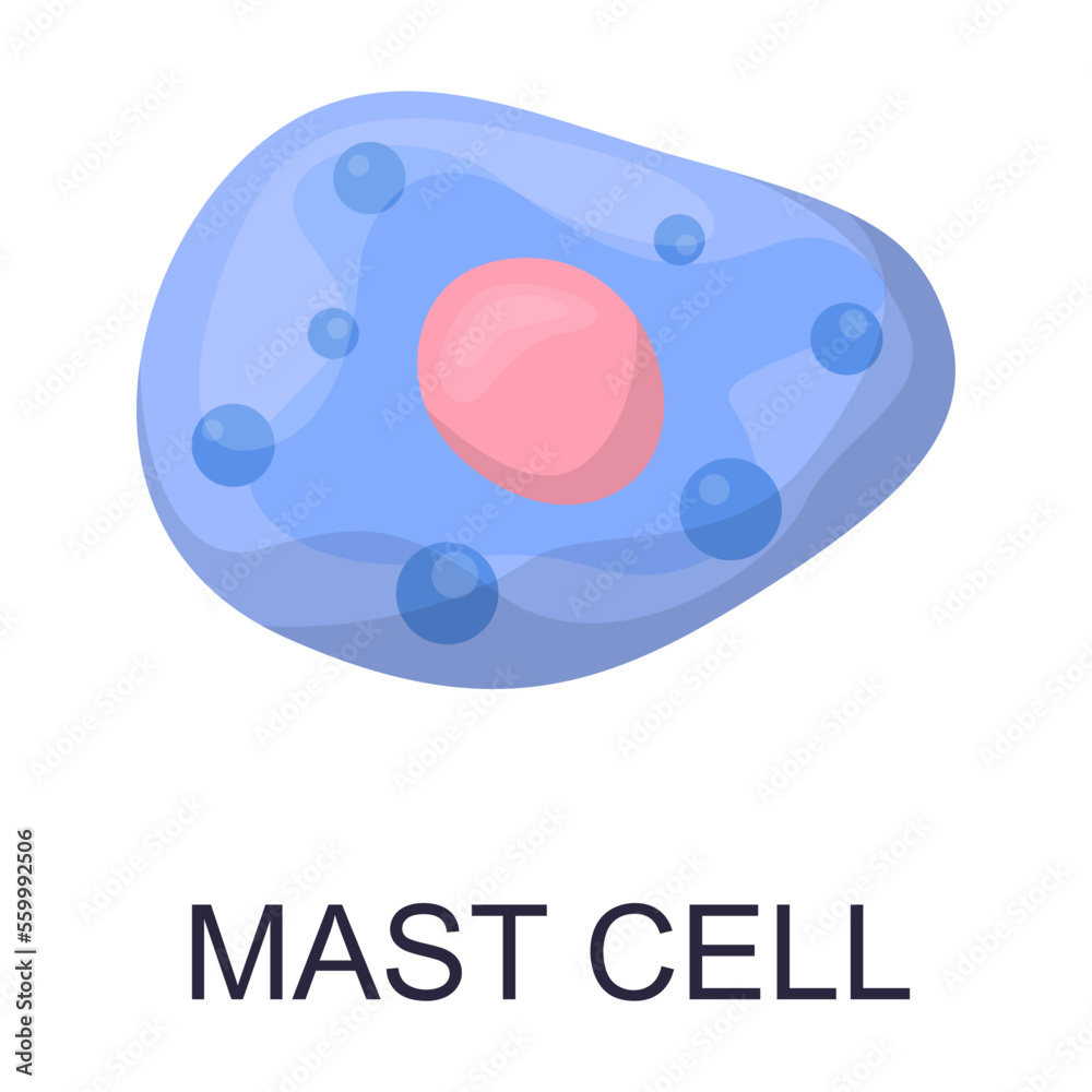 Blood cell vector illustration. Drawing of leukocytes, neutrophil ...