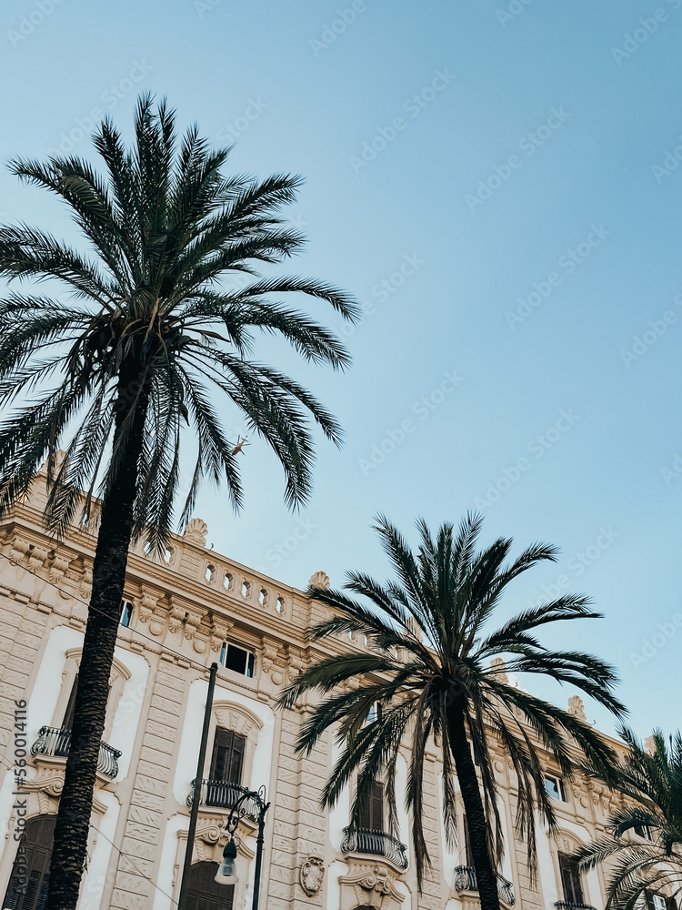 Take a virtual vacation to a tropical paradise with this photograph of ...