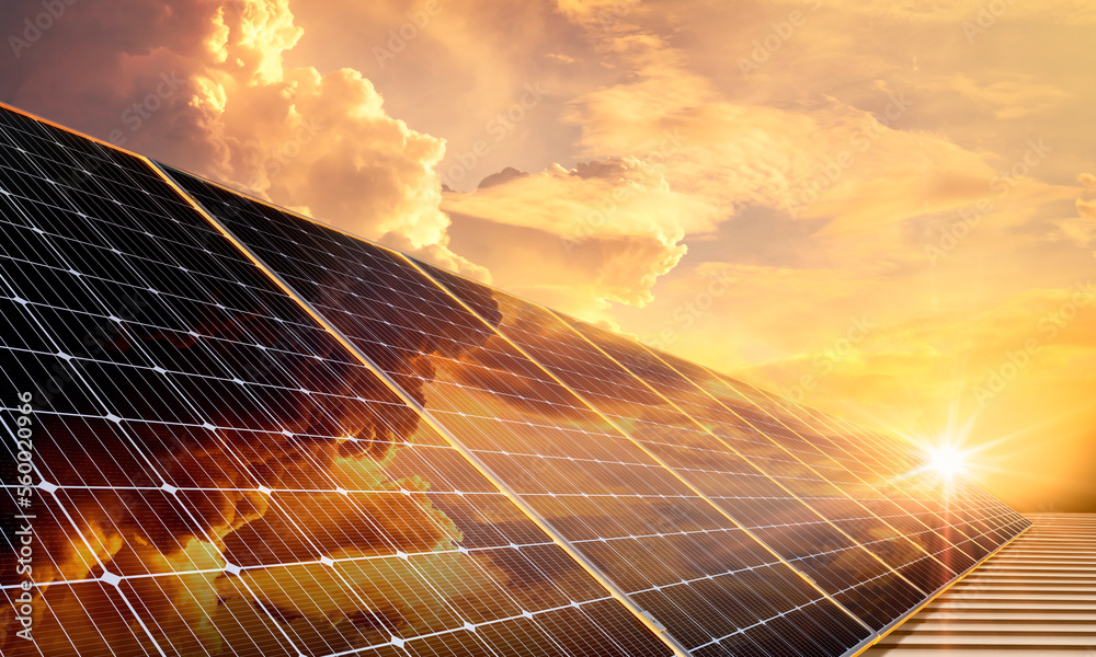 Solar panels reflect a golden sky, Clean energy, and a good environment ...