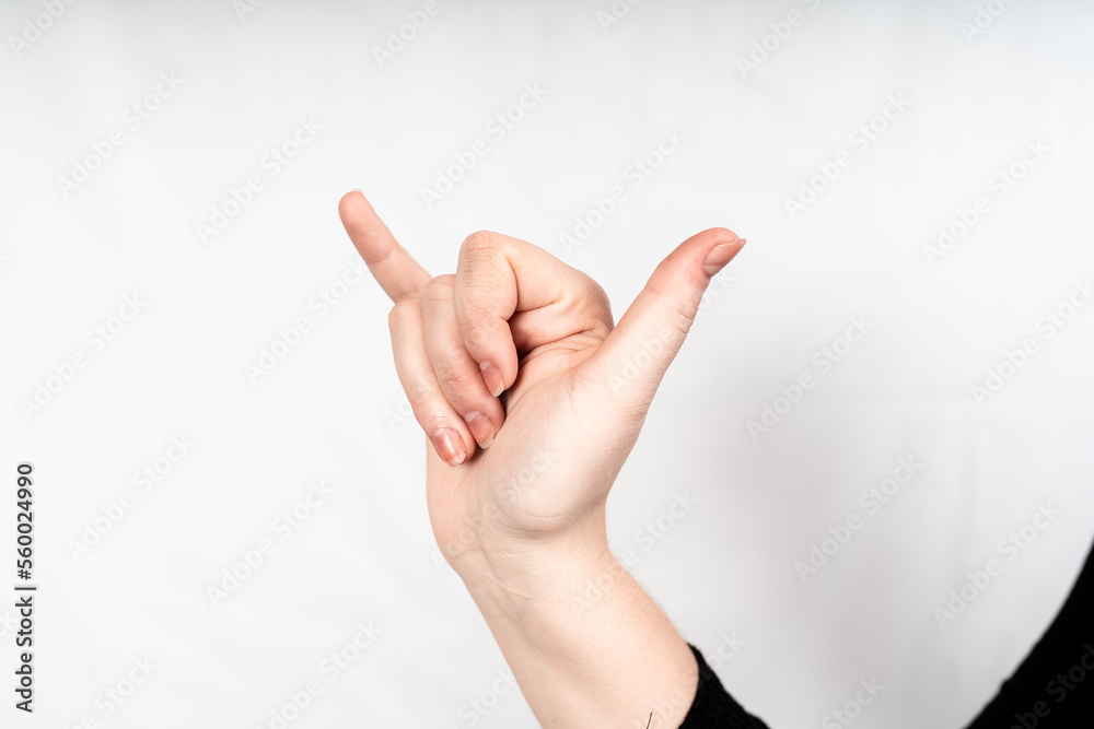 Y Letter , Static Hand Gestures for American Sign Language Letters,The ...