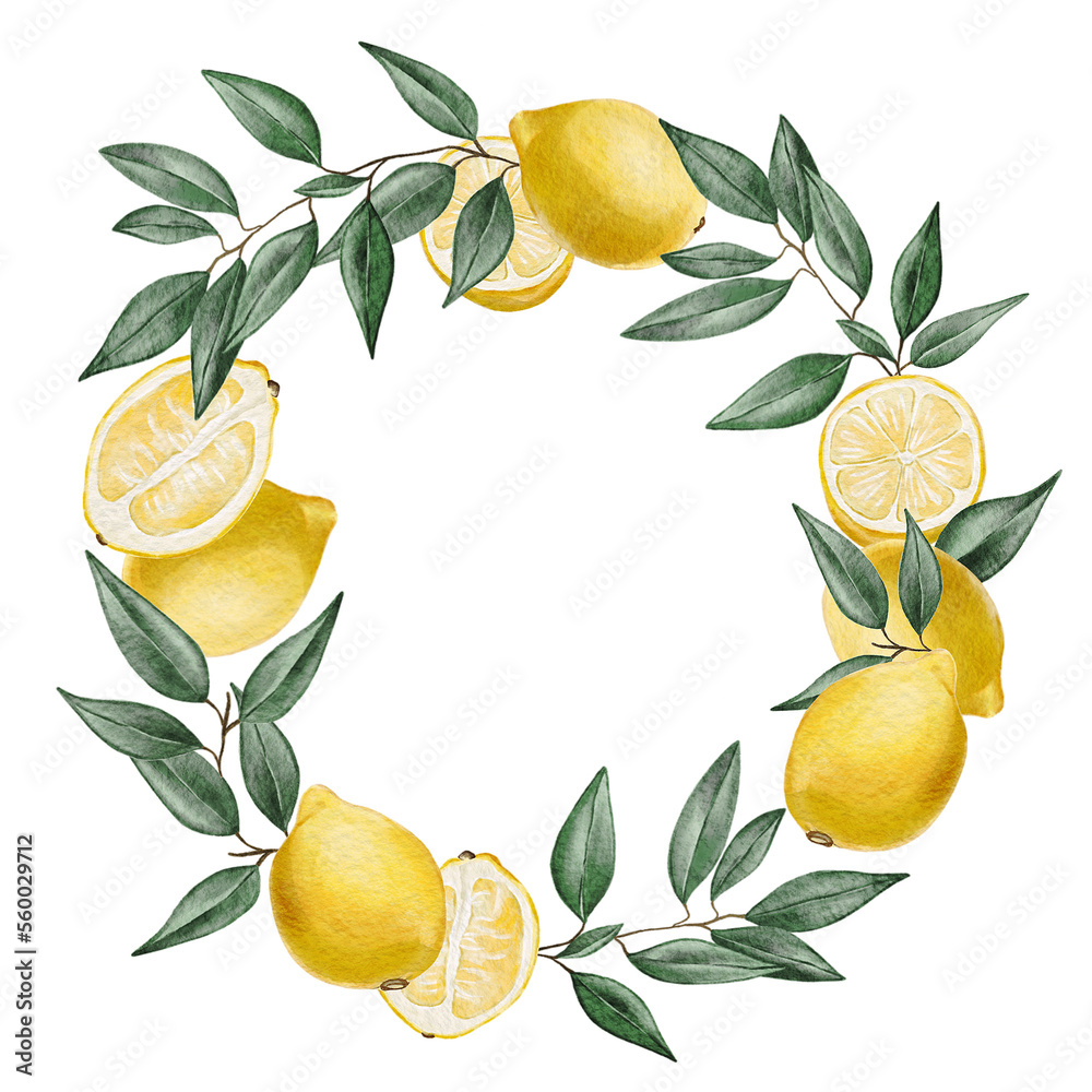 Watercolor Botanical frame Lemon frame Illustration Transparent ...