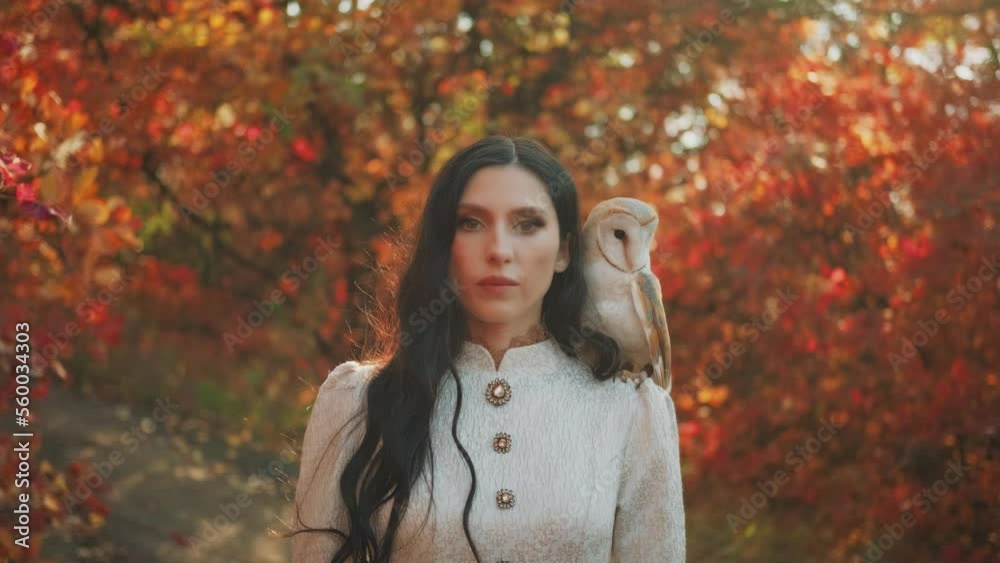 Elegant romantic lady woman in vintage dress walks with white barn owl ...