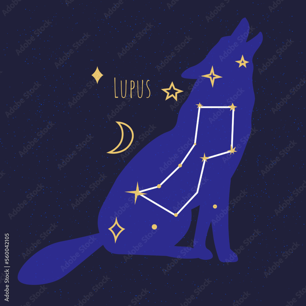 Constellations of lupus, star formation of wolf Stock Vector | Adobe Stock