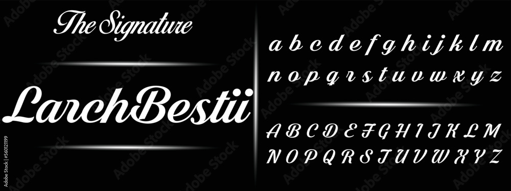 Signature Font Calligraphy Logotype Script Brush Font Type Font ...