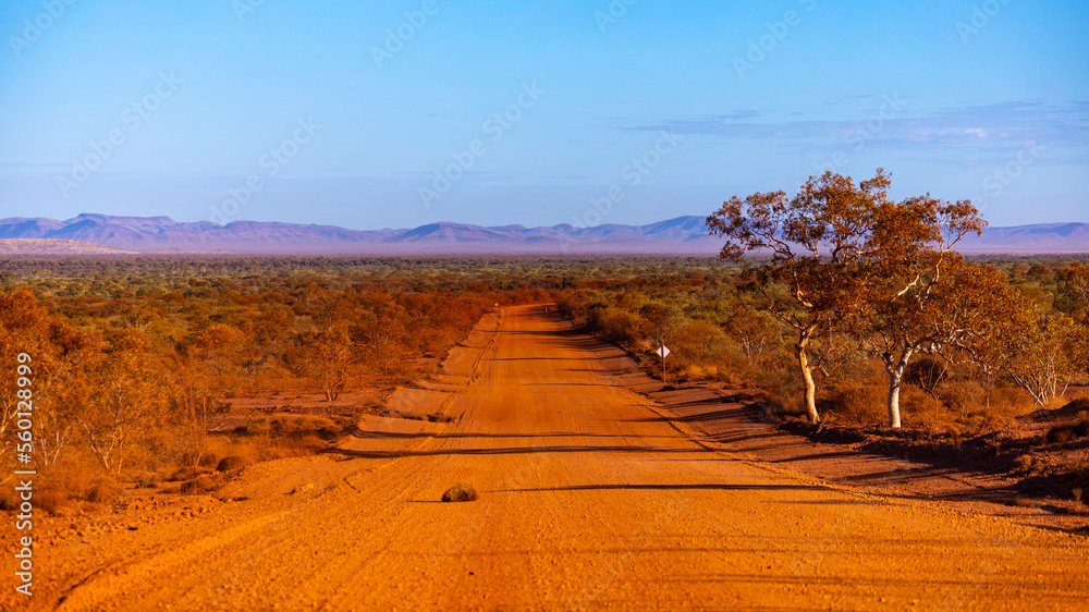 red dirt road through the middle of the desert in karijini national park, western australia ...