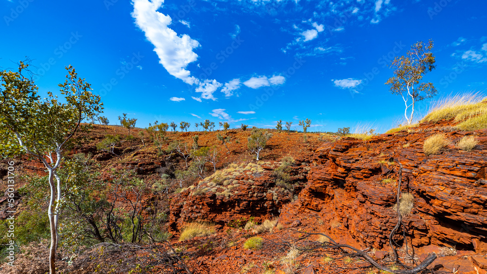 panorama of karijini national park in western australia; australian ...