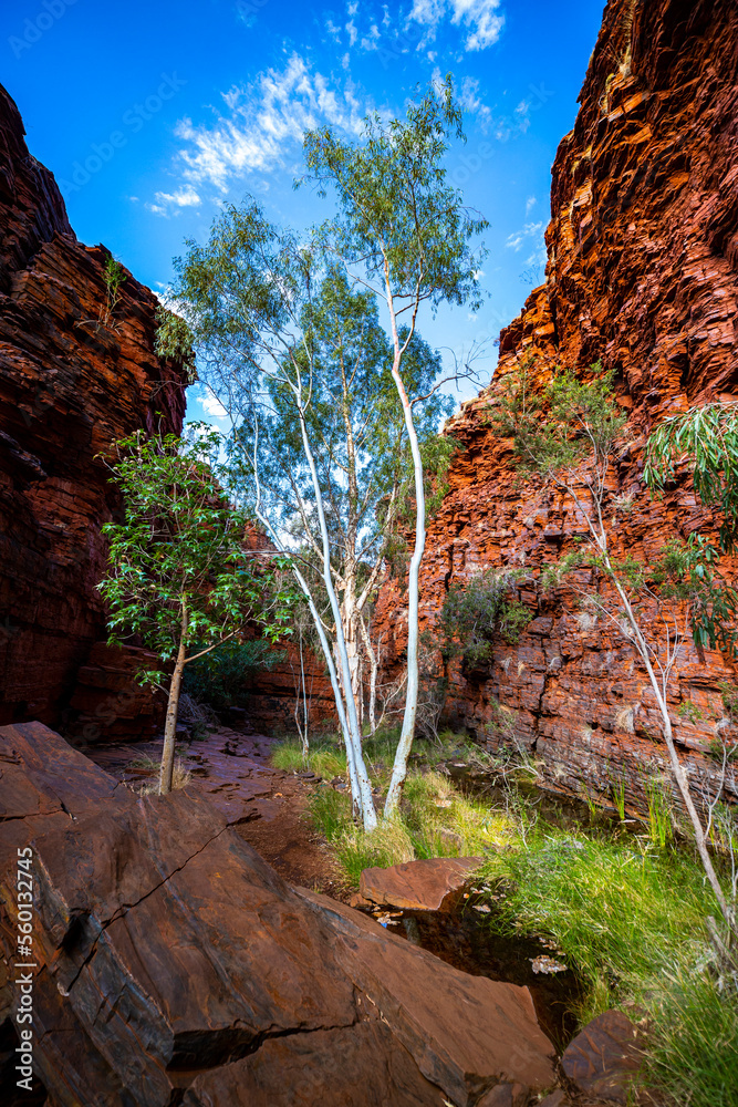 panorama of gorge in karijini national park in western australia; a ...