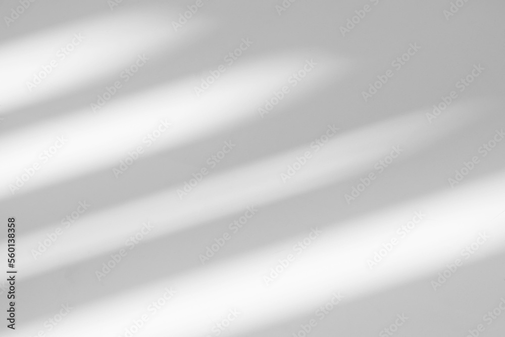 Gray shadow and light blur abstract background on white wall from ...