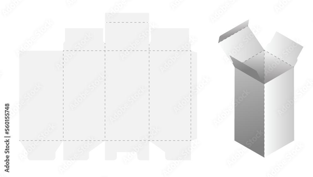 Box cut model. Package template layout for new design. Paper ...