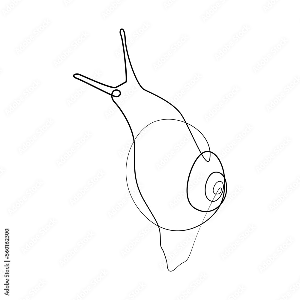 Linear drawing of a snail, top view. Vector illustration, minimalism ...