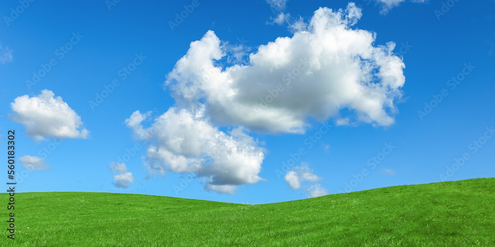 Green grass and blue sky with white cloud, beauty nature background ...
