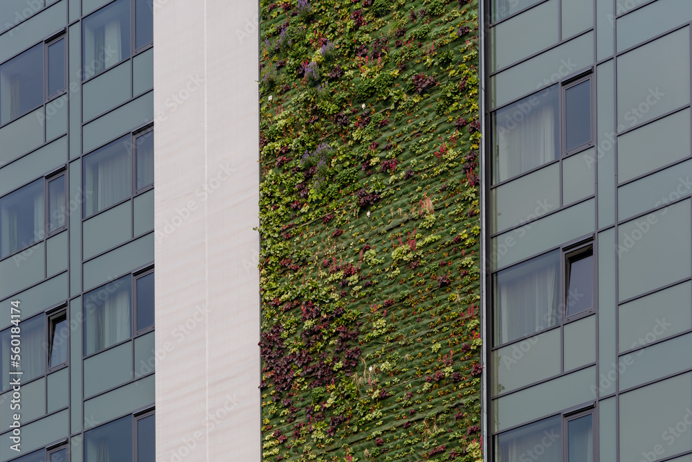 Exterior view of vertical green plant facade between typical modern ...