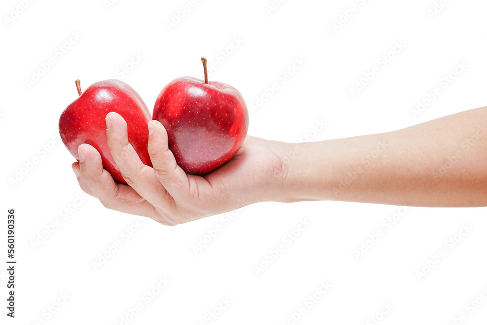 hand holding a ripe red apple on outstretched hand isolated white ...