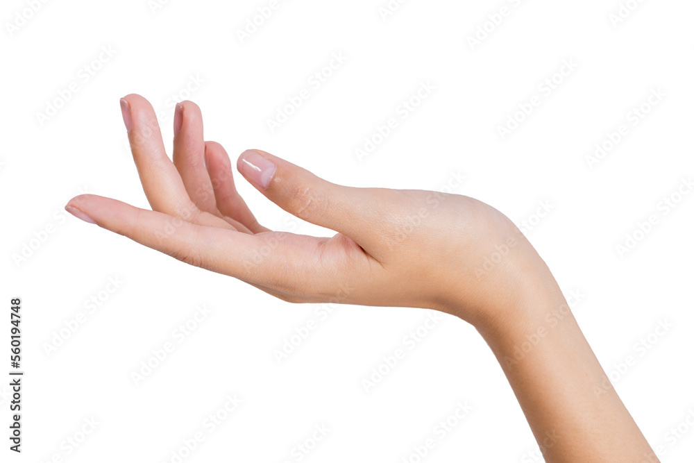 elegant women hand fon transparent background Stock Photo | Adobe Stock