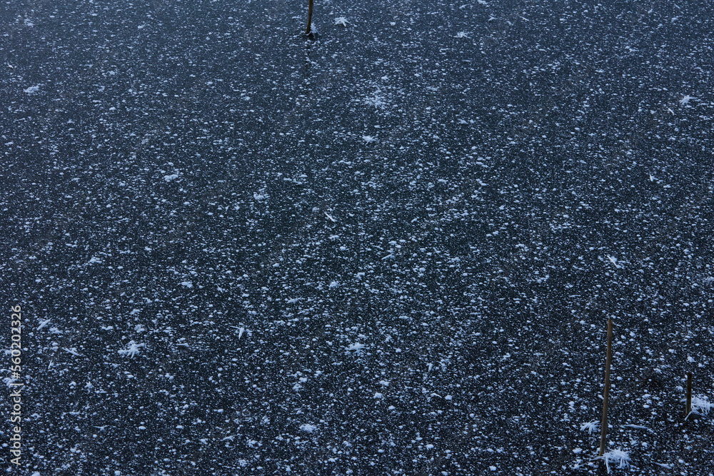 ice blue and white texture frozen Stock Photo | Adobe Stock