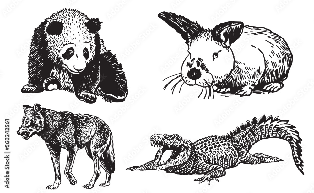 Graphical set of animals isolated on white background,vector ...