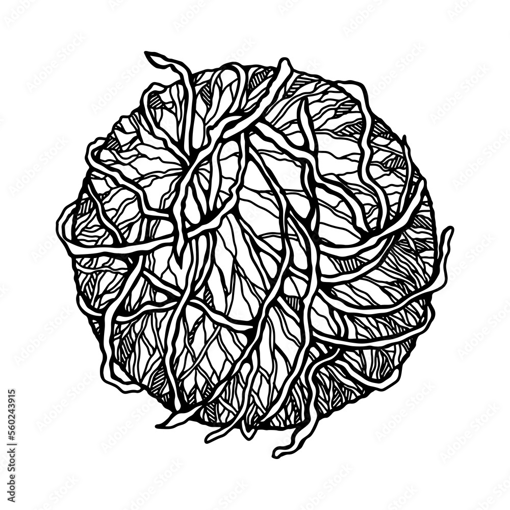 Hand drawn mumps virus isolated on white background. Realistic detailed ...