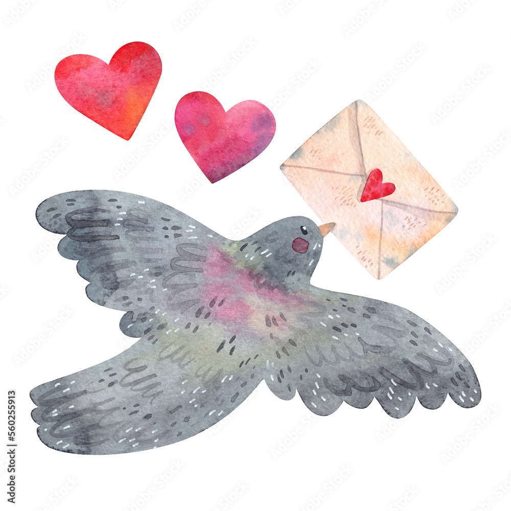 Flying post pigeon with love letter. Watercolor illustration. A dove ...