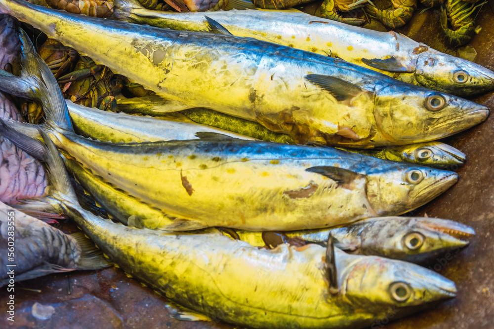River fish sold in a typical Mexican street market called a tianguis ...